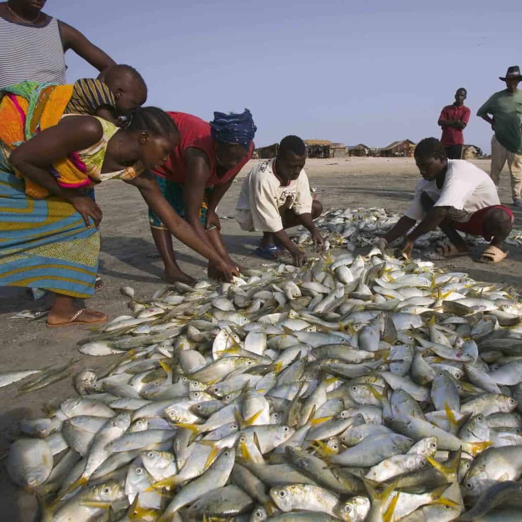 Fight illegal fishing in Senegal - Van Marwijk Advies